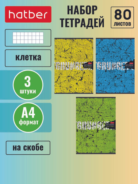 Набор тетрадей Hatber 3 штуки/3 дизайна 80 листов, формата А4, в клетку, на скобе -Яркий гранж ...