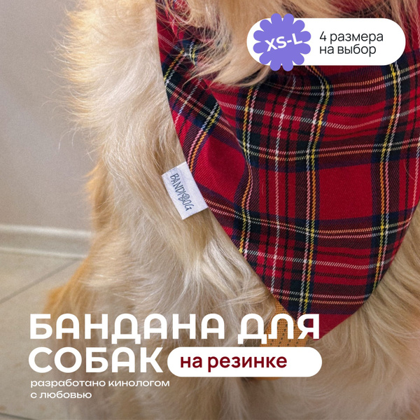 Бандана для собак на резинке Эдинбург Шотландка от BandiDog красная ...