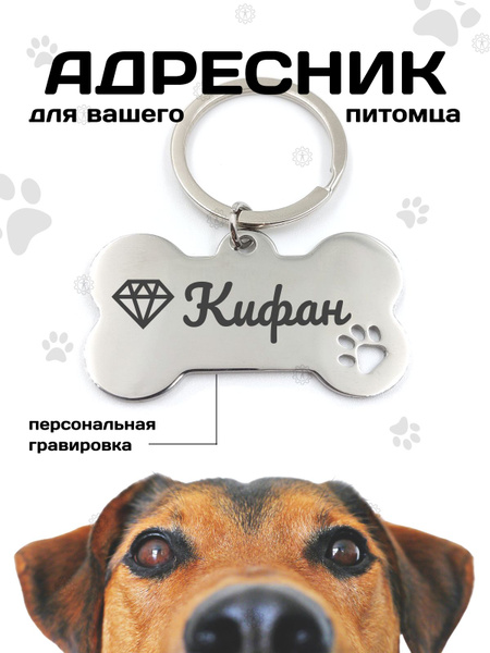 Адресник для собак "косточка с лапкой", на ошейник, серебро, 50 мм x 30 ...