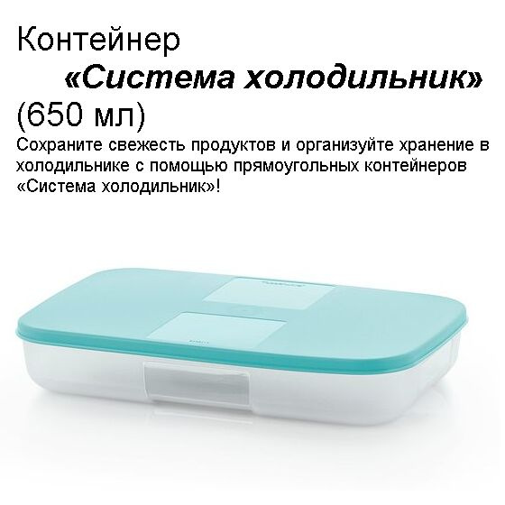 Tupperware Контейнер пищевой, 650 мл, 1 шт купить на OZON по низкой цене (1870477518)