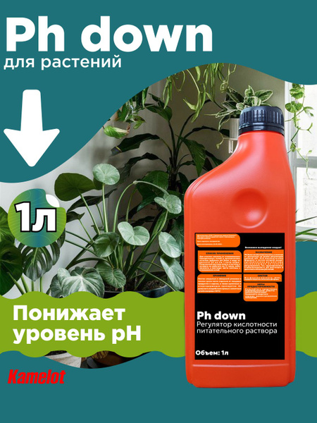 Регулятор кислотности почвы, Ph down 1 л купить на OZON по низкой цене (1916586841)