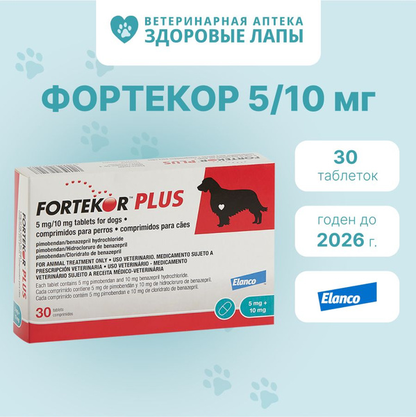 Фортекор (Fortekor) 5/10 мг 30 таблеток купить на OZON по низкой цене ...