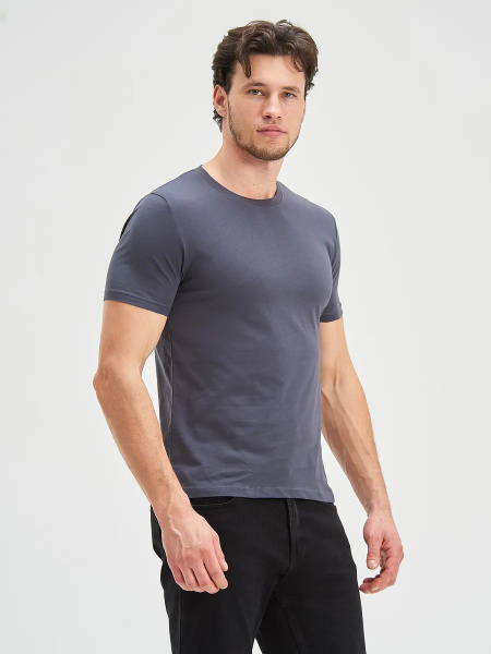 Футболка Мужской Dagi антрацитовый Короткий, размер 46, 48 прямой Повседневный Турция купить c ...