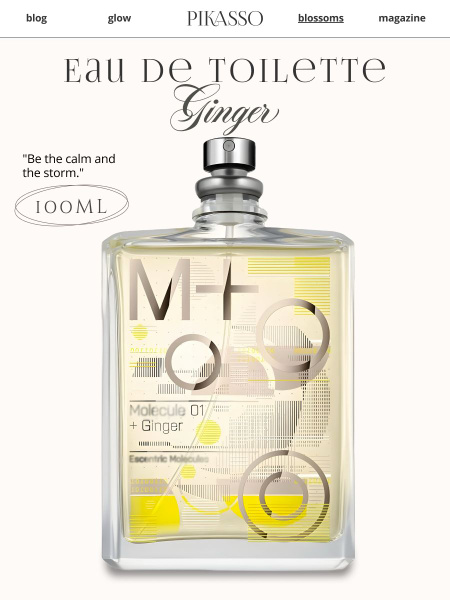 Туалетная вода Molecule 01 + Ginger купить на OZON по низкой цене (2229484928)