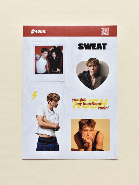 Стикеры Трой Сиван / Troye Sivan / Moon Moon Store купить на OZON по ...