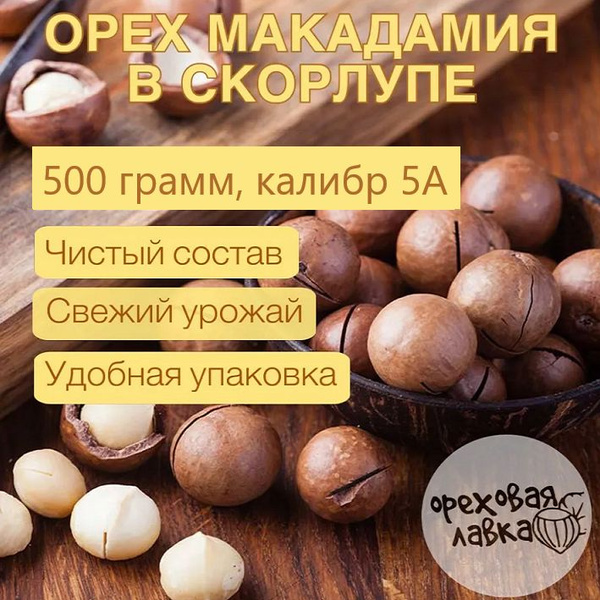 Орех макадамия в скорлупе крупный, калибр 5А, 500 грамм - купить с ...