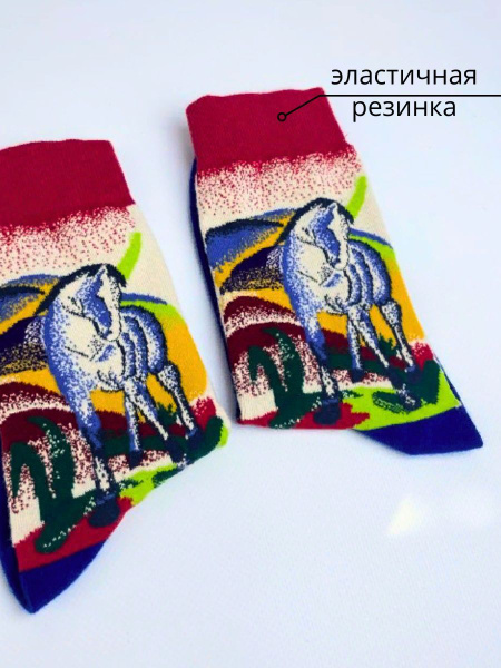 Носки EKMEN Картина, 1 пара - купить с доставкой по выгодным ценам в ...