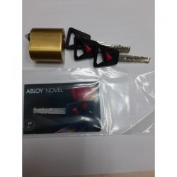 ABLOY CY201U Овальный цилиндр (латунь матовая) купить по низкой цене с ...