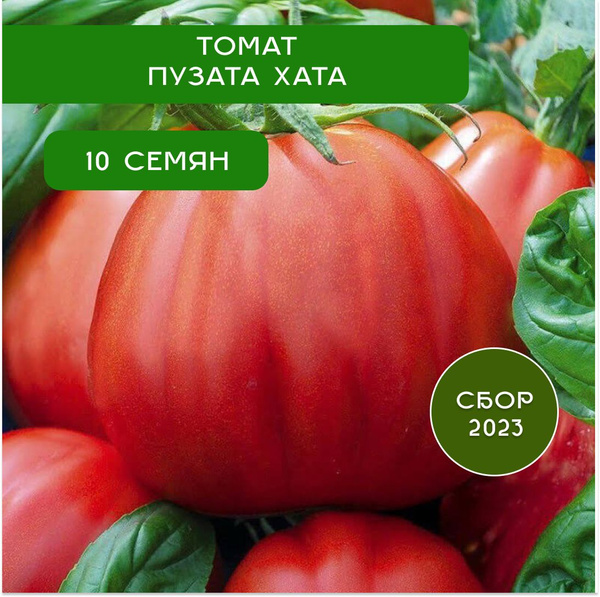 Томаты Томаты - купить по выгодным ценам в интернет-магазине OZON ...