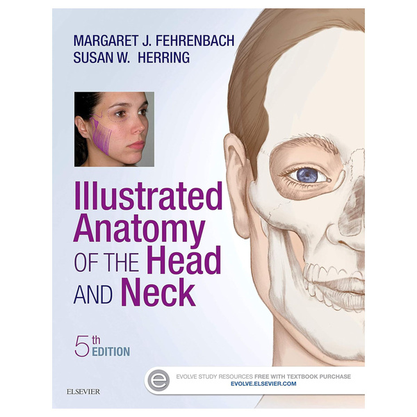 Illustrated Anatomy of the Head and Neck English Book купить на OZON по ...