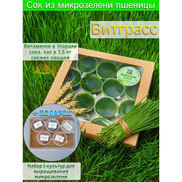 Замороженный сок ростков пшеницы Витграсс на 30 дней +подарок SUNOVIT ...