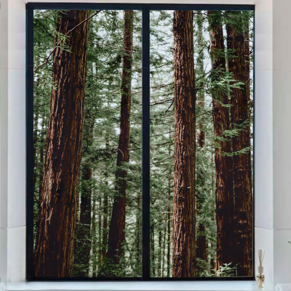 BUYAD Пленка для окон декоративная 55х152см купить на OZON по низкой ...