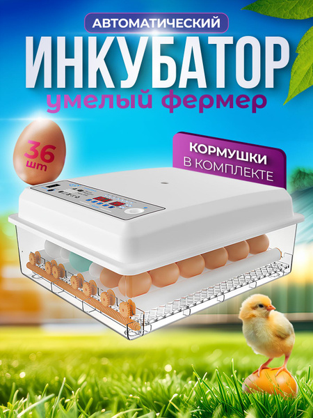 Инкубатор для яиц автоматический с терморегулятором - купить с ...