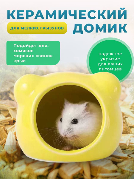 Керамически домик для грызунов - купить с доставкой по выгодным ценам в ...
