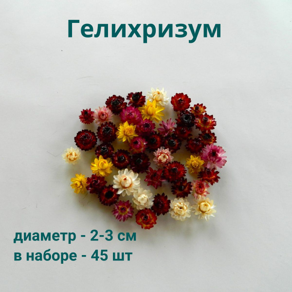 Сухоцветы Гелихризум, 35 гр, 45 шт купить по выгодной цене в интернет ...