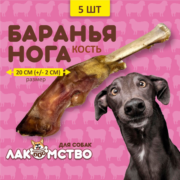 Натуральные долгоиграющие лакомства для собак средних и крупных пород ...