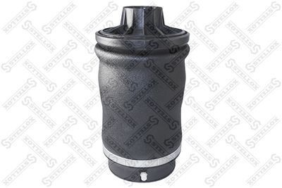 Пневмоподушка зад.MERCEDES W164/166/X164 - купить по доступным ценам в ...