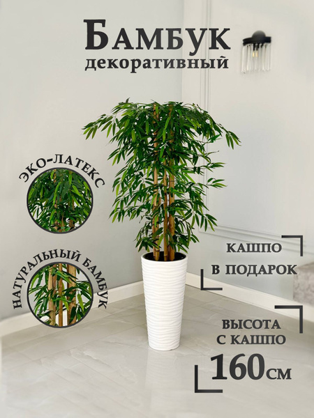 Искусственный бамбук, 160 см купить на OZON по низкой цене (1716005937)
