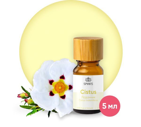 Эфирное масло Ладанник, лабданум (Cistus ladaniferus), Индия, 5 мл ...