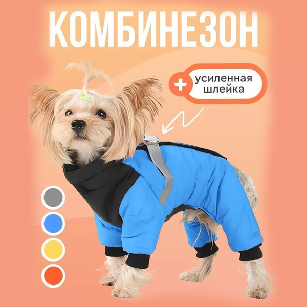 Зимний комбинезон для собаки (девочка), зимняя одежда для собак мелких ...