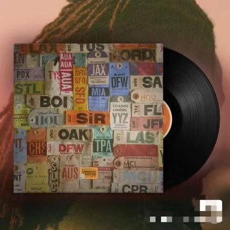 Виниловая пластинка SiR - Chasing Summer купить на OZON по низкой цене ...