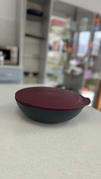 Миска Tupperware, 1500 мл, ABS пластик купить c доставкой на OZON по низкой цене (1857062555)