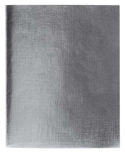 Тетрадь Hatber набор 2 штуки 96 листов в клетку формата А5 на скобе обложка бумвинил -Серебро ...