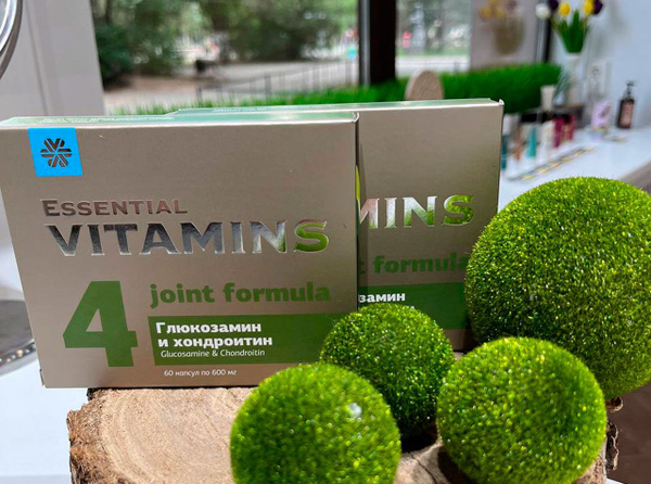 Глюкозамин и хондроитин Essential Vitamins,60 капсул - купить с доставкой по выгодным ценам в ...