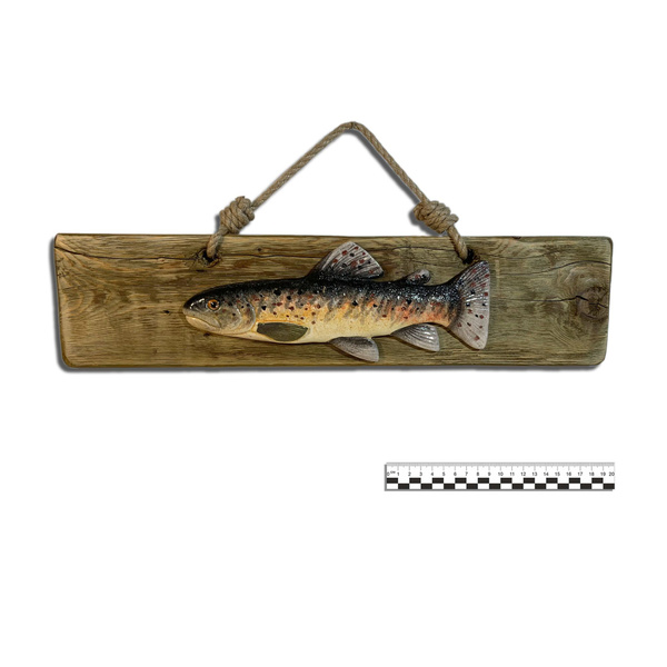Украшение подвесное интерьерное Настенная статуэтка форели исп 15 купить по доступным ценам в