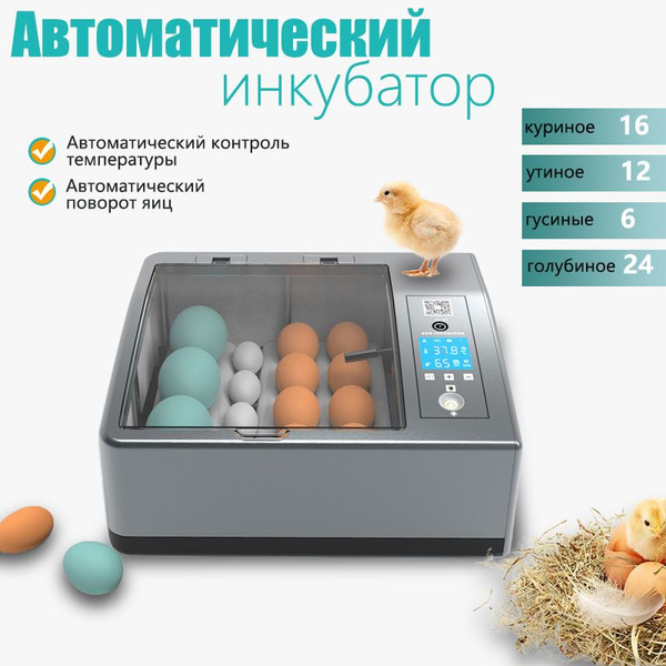 Инкубатор для яиц автоматический терморегулятором, гигрометром ...