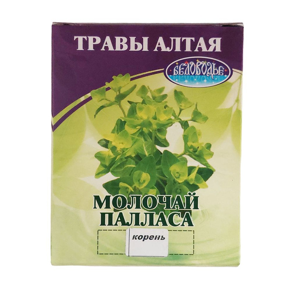 Беловодье/Молочай палласа (мужик-корень) - купить с доставкой по ...