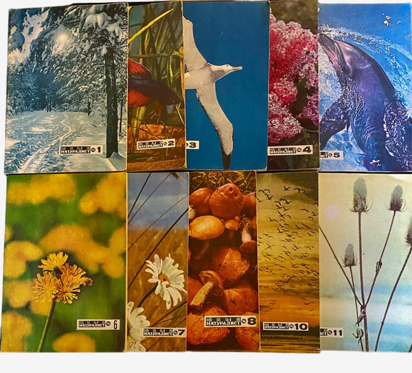 Журнал "Юный натуралист". Комплект из 10 журналов (1-8,10,11) за 1974 год - купить с доставкой ...