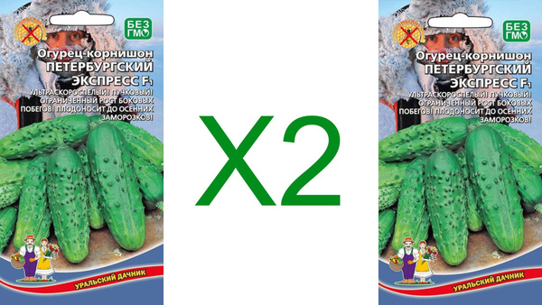 Огурец Петербургский Экспресс F1 /8шт ультраскороспелый, холодостойкий ...