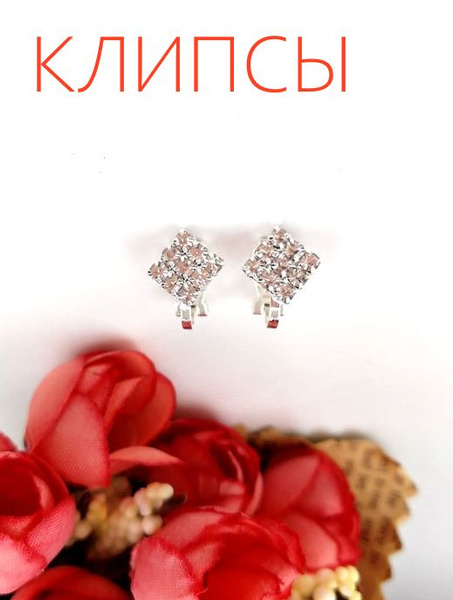 Aster Клипсы - купить с доставкой по выгодным ценам в интернет-магазине OZON (1611760103)