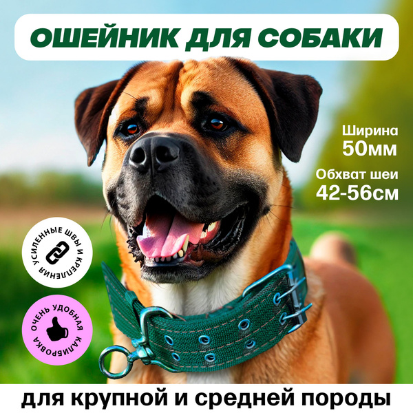 Ошейник широкий для собак крупных пород зеленый - купить с доставкой по ...