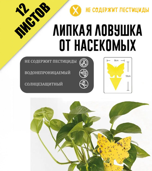 Ловушка для садовых вредителей - купить с доставкой по выгодным ценам в ...