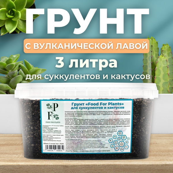 Субстрат для комнатных растений. Грунт для суккулентов и кактусов ...