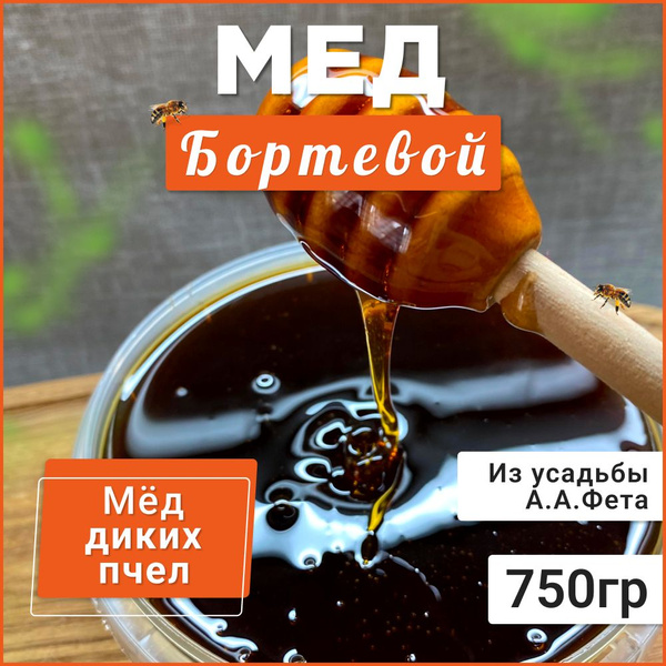 Мед бортевой (диких пчёл) 750 грамм 2024 г - купить с доставкой по ...