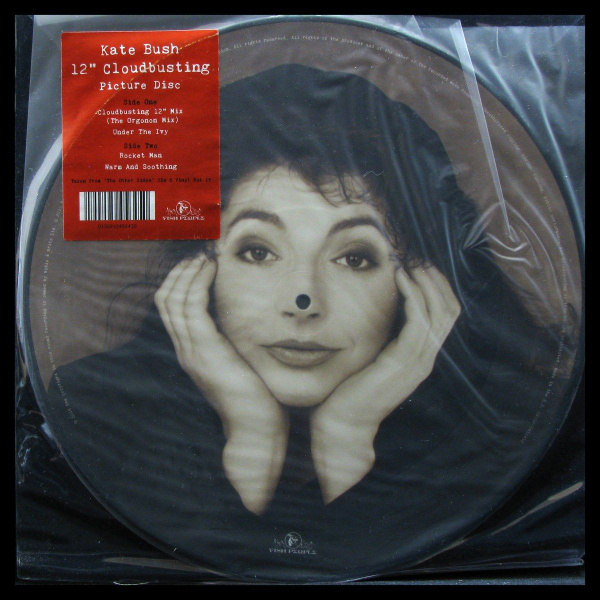 LP Kate Bush - Cloudbusting (picture disc) (винил) (347494) - купить с ...