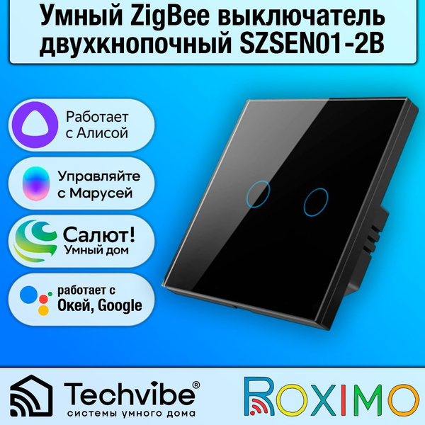 ROXIMO / Умный Zigbee выключатель сенсорный, двухкнопочный, черный SZSEN01-2B купить на OZON по ...