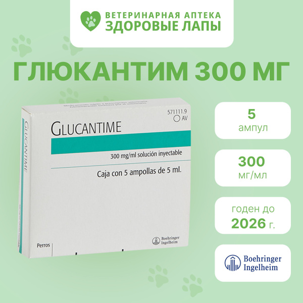 Глюкантим (Glucantime) 5 ампул по 5 мл купить на OZON по низкой цене ...