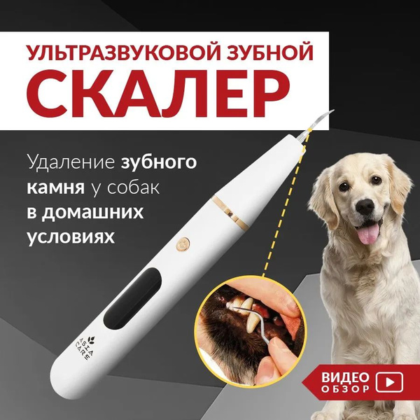 Зубная щетка для животных купить c доставкой на OZON по низкой цене ...