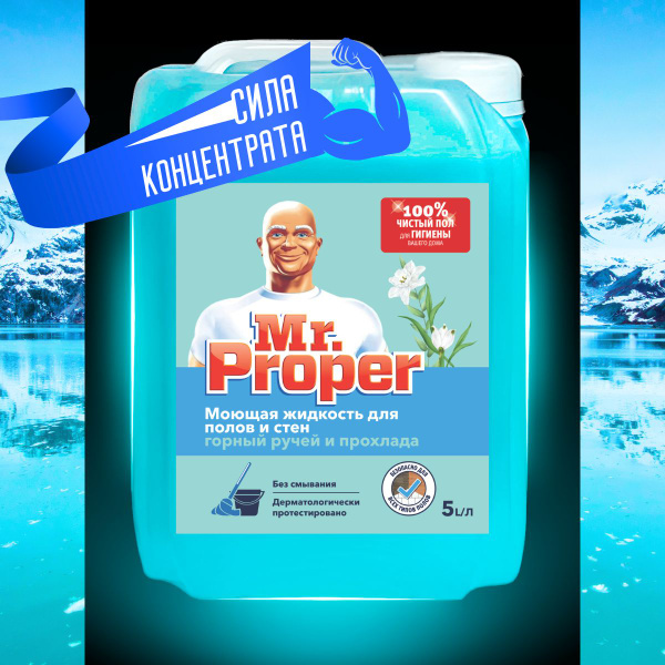 Средство для мытья полов и стен Mr. Proper 5 л, Горный ручей и прохлада купить на OZON по низкой ...