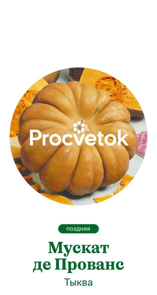 Procvetok Базилик Лимонный 0,5 г - купить по выгодным ценам в интернет-магазине OZON (1984674408)