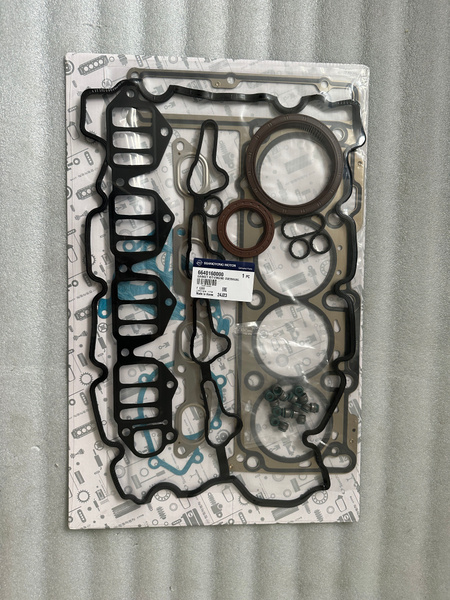 Комплект прокладок для капитального ремонта двигателя 6640160000 для ...