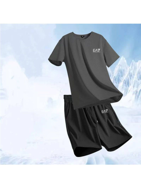 Костюм спортивный Мужской EA7 темно-серый, размер 54, 56 Лето купить c доставкой на OZON по ...
