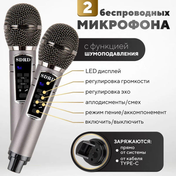 Караоке система беспроводная с двумя микрофонами SDRD SD-306 Plus Серый купить на OZON по низкой ...