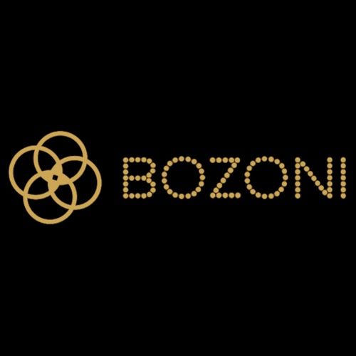 Bozoni — купить товары Bozoni в интернет-магазине OZON