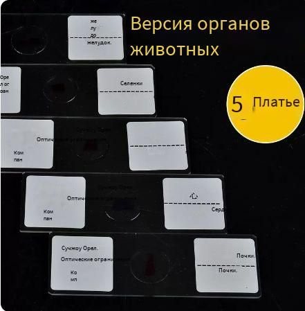 Биологический микроскоп образцов животных растений набор клеток слайды ...