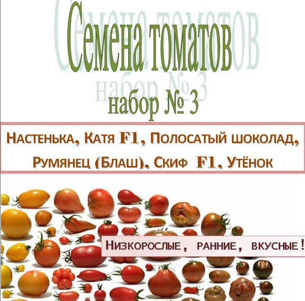 Томаты ранние и низкорослые - купить по выгодным ценам в интернет ...